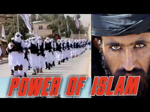 Taliban Attitude status|Badri 313 Status |afghan mujahideen