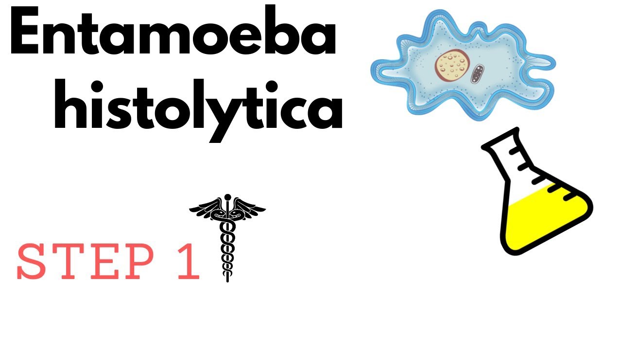 Entamoeba histolytica | Step 1 Parasites | Amoebic dysentery & Liver ...