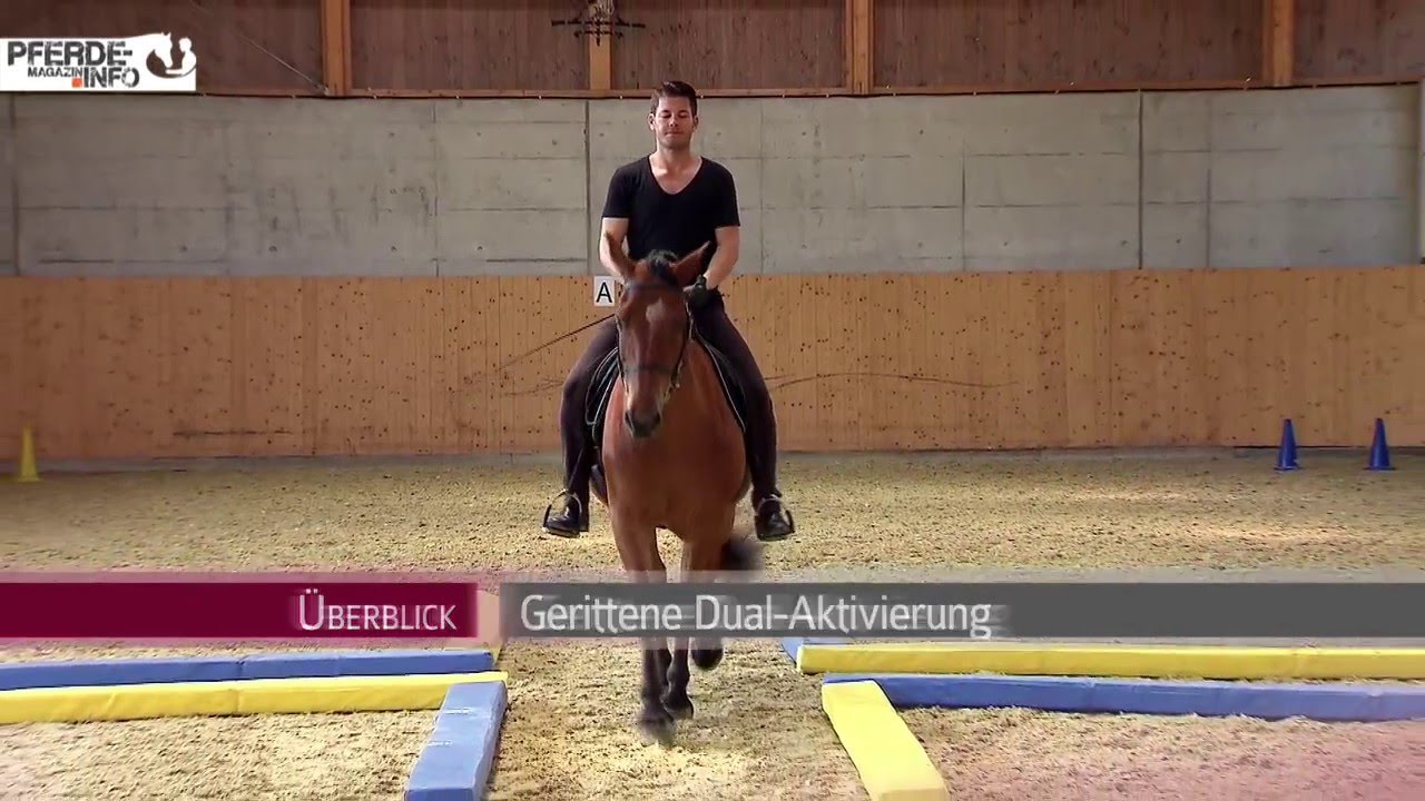 Dual-Aktivierung – das Konzept von Michael Geitner - YouTube
