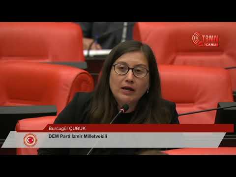 Burcugül ÇUBUK - 101. Birleşim | 28/3