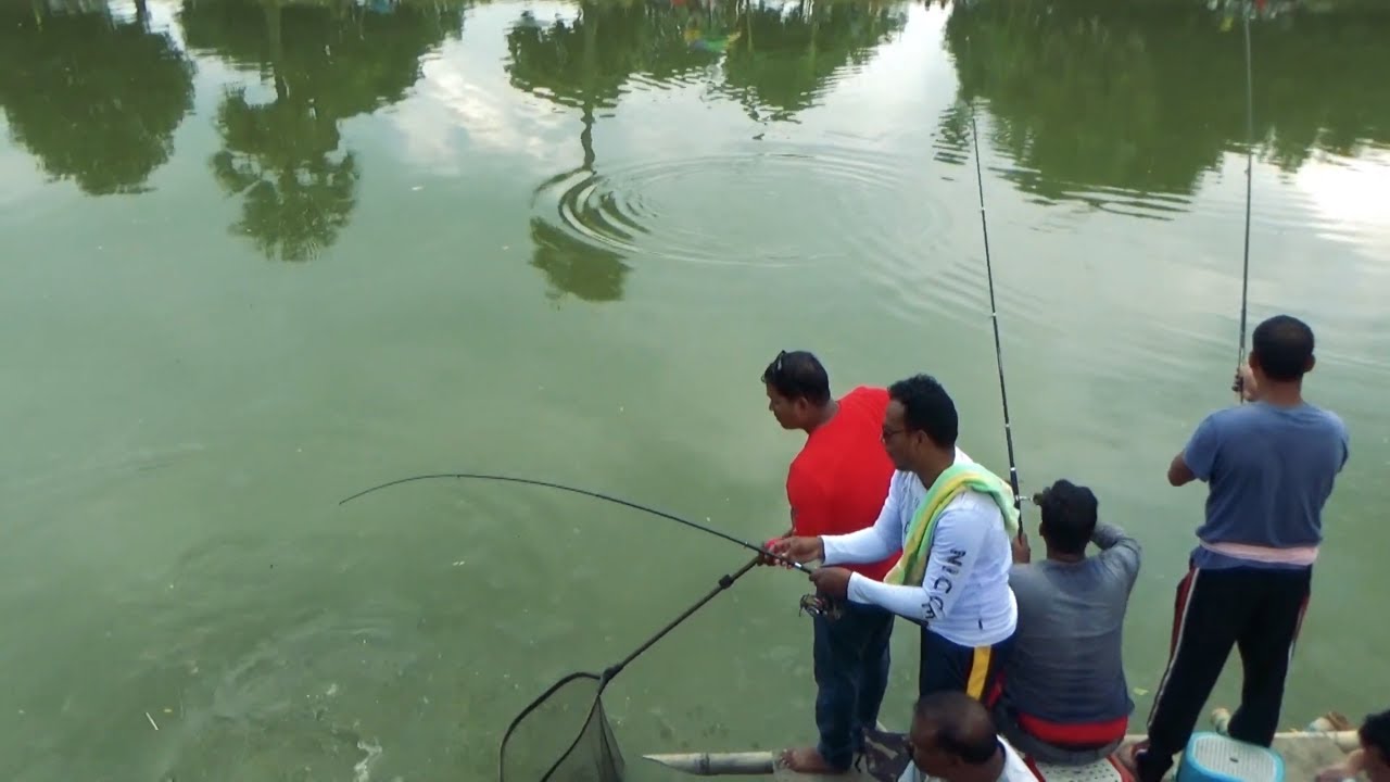 Double Fish Catching Videos By Fish Watching - YouTube