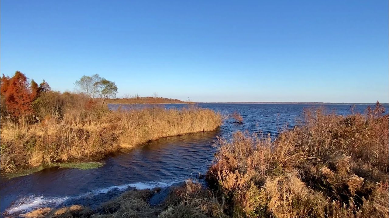 Pungo Lake ~ Pocosin Lakes Wildlife Refuge ~ Bear Sanctuary ~ North ...