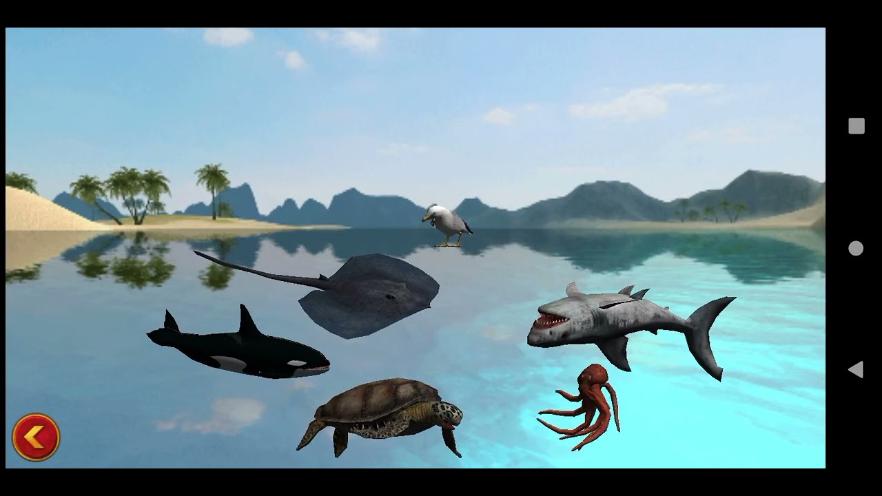Dolphin Survival Simulator Full Gameplay - YouTube