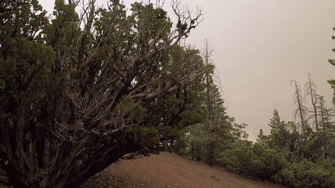 Letts's Lake before Complex fire overtakes the area - YouTube