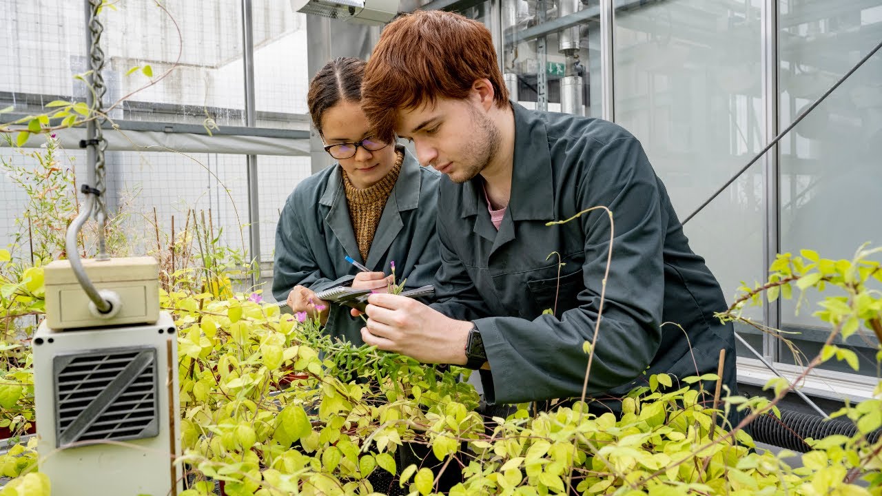 Where can a degree in biological sciences take me? | University of ...