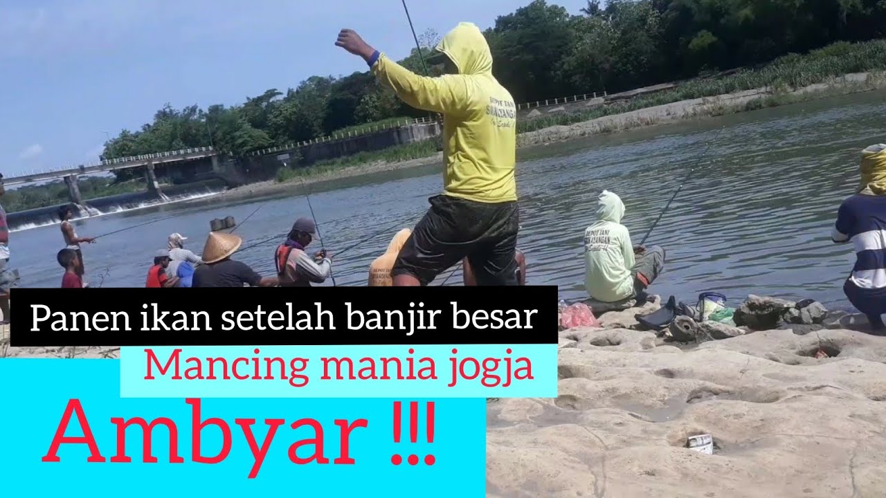 Ambyar!!!fishing and mancing|| cara mancing ikan di sungai progo - YouTube