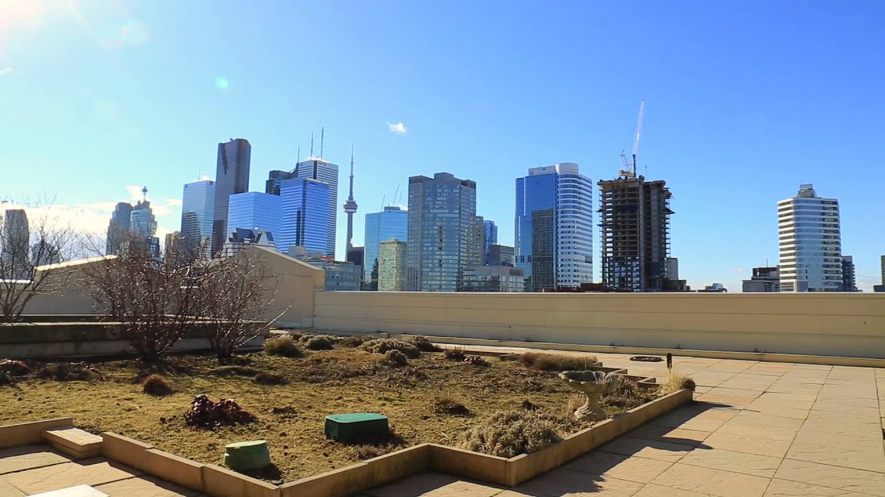 #845 Merchandise Building, 155 Dalhousie St, Toronto (Branded) - YouTube