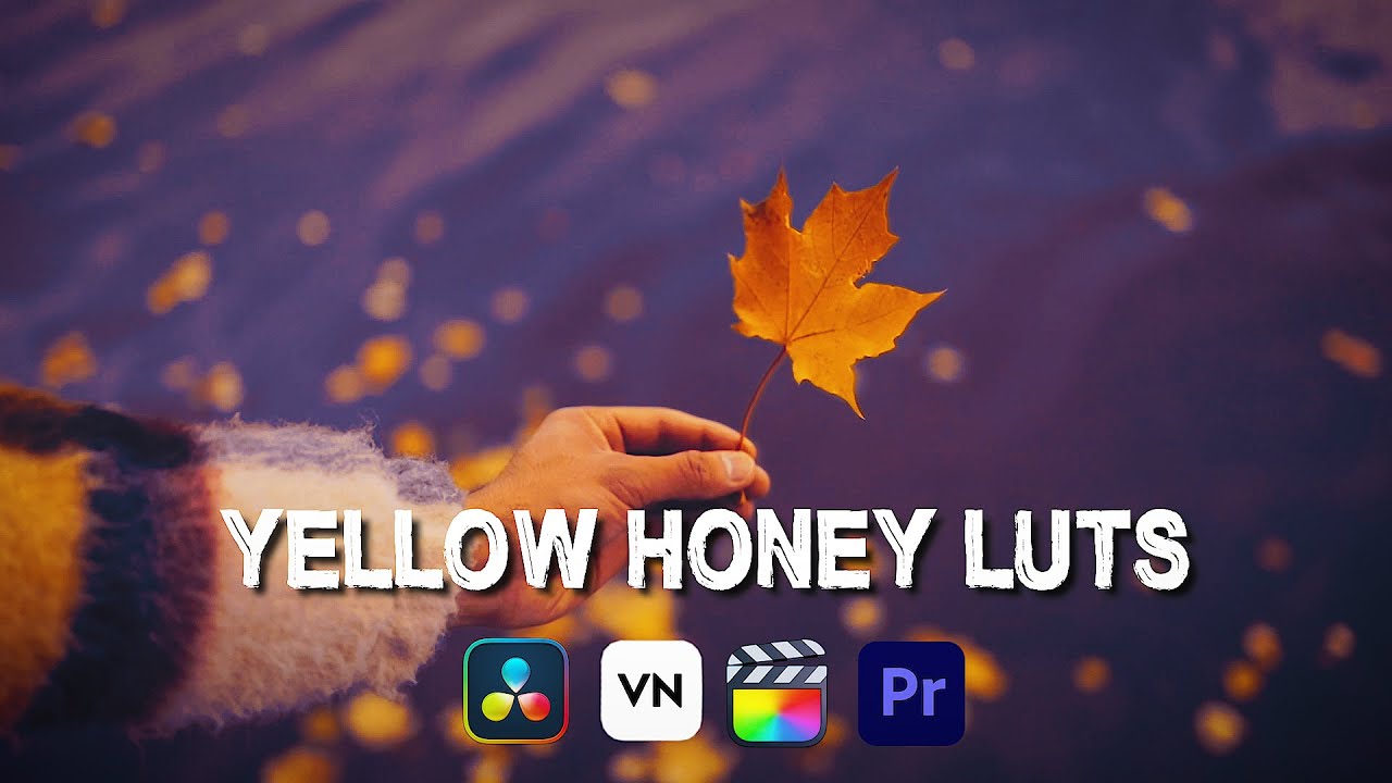 Free 50 Yellow Honey Luts | How To Use Luts In Adobe Premiere Pro - YouTube