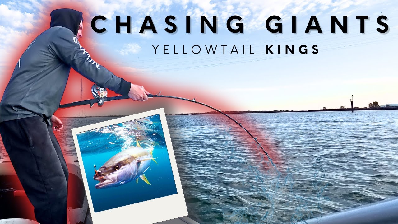 Chasing Giants: The Pursuit of Monster Kingfish - YouTube