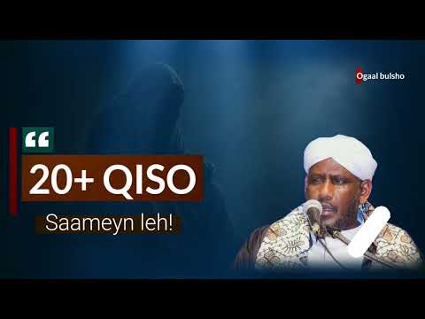 20+ Qisas Sameyn leh xigmad iyo Ku cibro qaadasho mudan || Sheekh Saalax Macalim #Qisooyin 