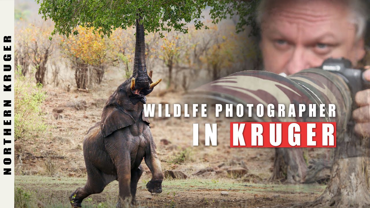 Wildlife Photography Behind the Scenes in Kruger - YouTube