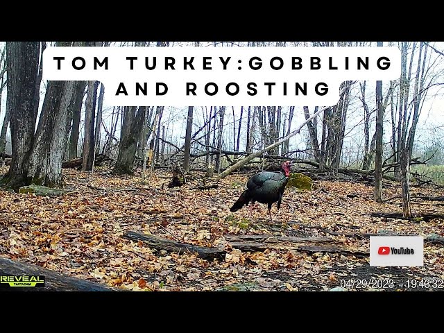 Duane Bethea's Instagram, Twitter & Facebook on IDCrawl