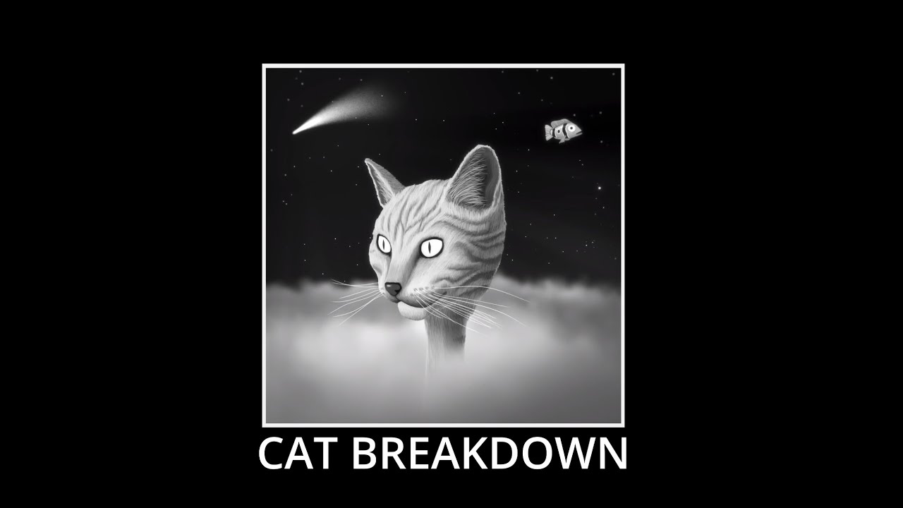 Cat-Breakdown - YouTube