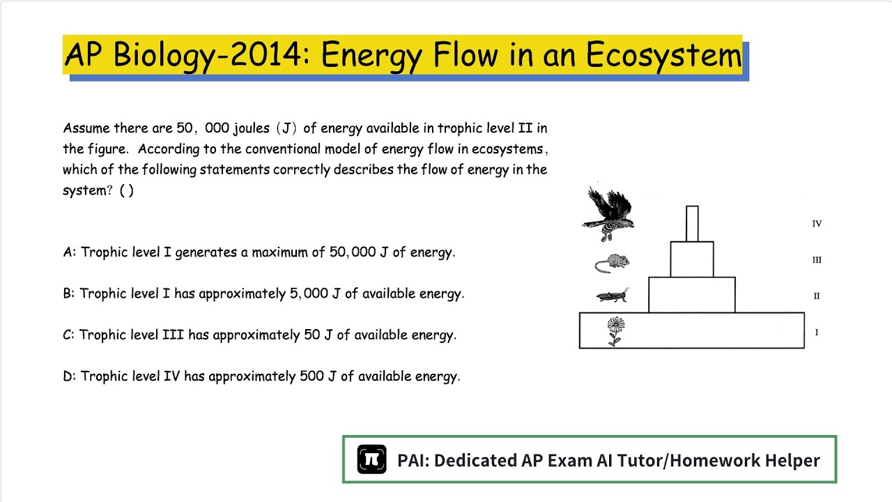 2014 AP Biology: Chemical Cycling in the Ecosystem - YouTube
