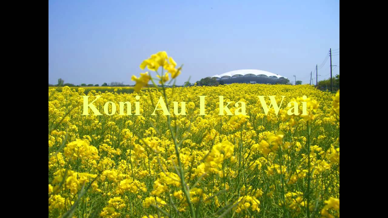 Koni Au I ka Wai 演奏：AIDA - YouTube