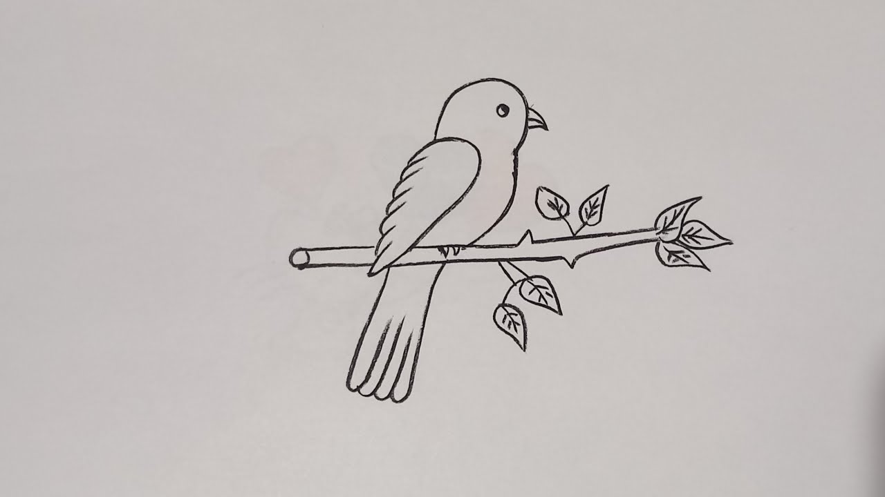 Parrot drawing with number 2!! drawing for beginners!! how to draw ...