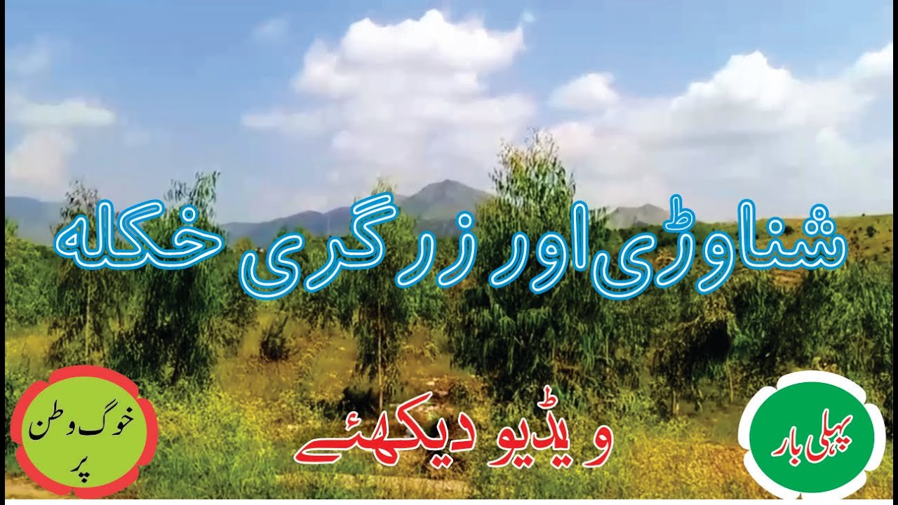#I The greenery of SHNAWARI & Zargeri I I SHNAWARI Hangu KP I I Visit ...
