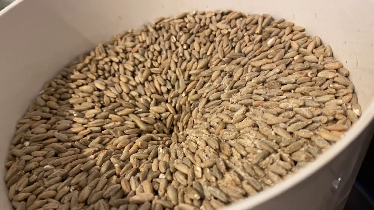 Making Rye Flour — Using the Ankarsrum Grain Mill - YouTube