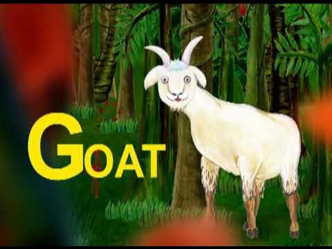 Learn the ABCs: "G" is for Goat @CoComelon Nursery Rhymes and Kids ...