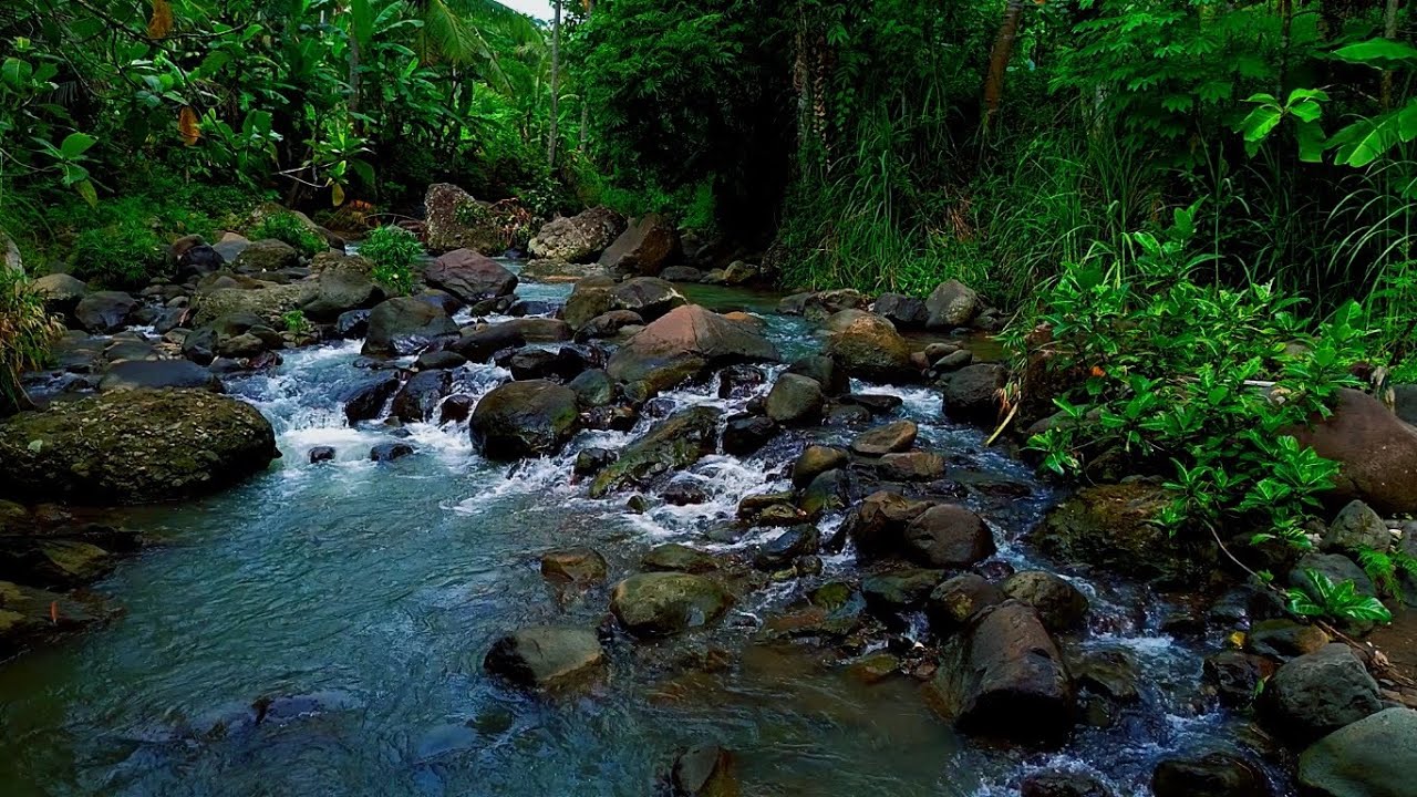 Nature River Soundscape for Relaxation, Tranquil Nature | sleep - relax ...