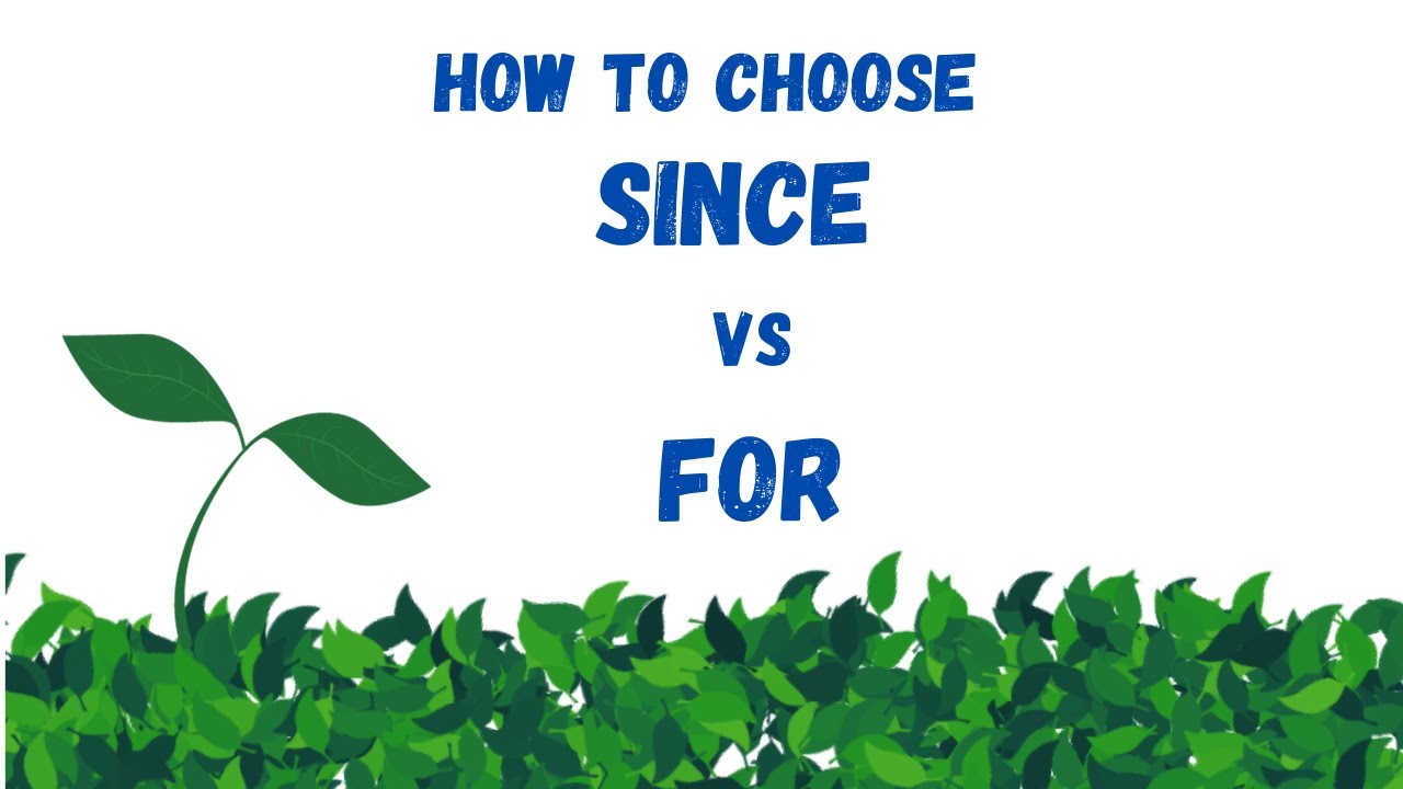 How to use For and Since | For vs Since - YouTube