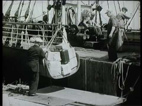 Oslo Havn - Byens hjerte, 1952 - YouTube