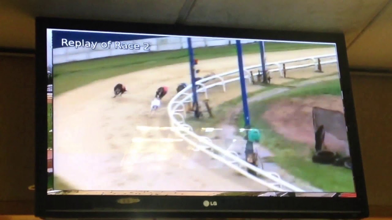 Race two of perry Barr greyhound racing trap 3 is mine and she comes ...