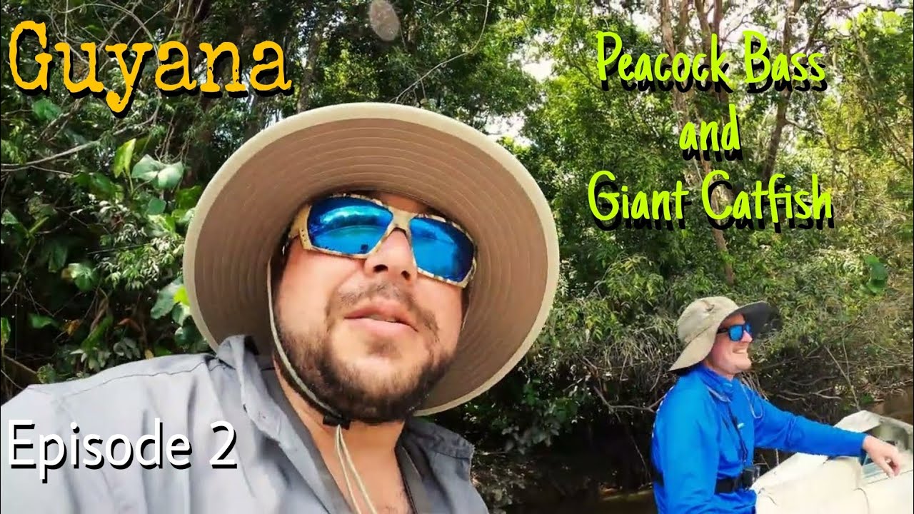 Guyana: River Monsters and Legends of the Essequibo. We Catch Big ...