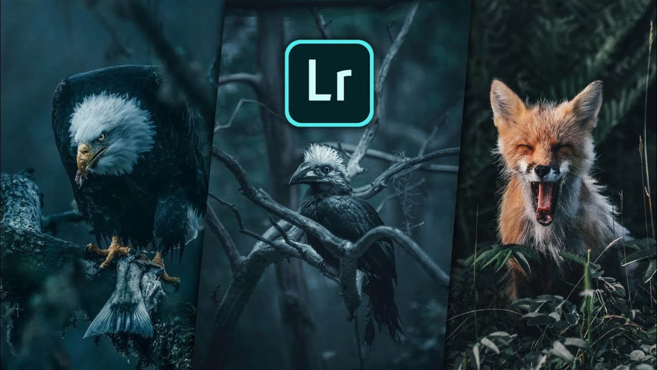 HOW TO EDIT LIKE DYLAN FURSTY ON INSTAGRAM | @FURSTY | Lightroom Moody ...