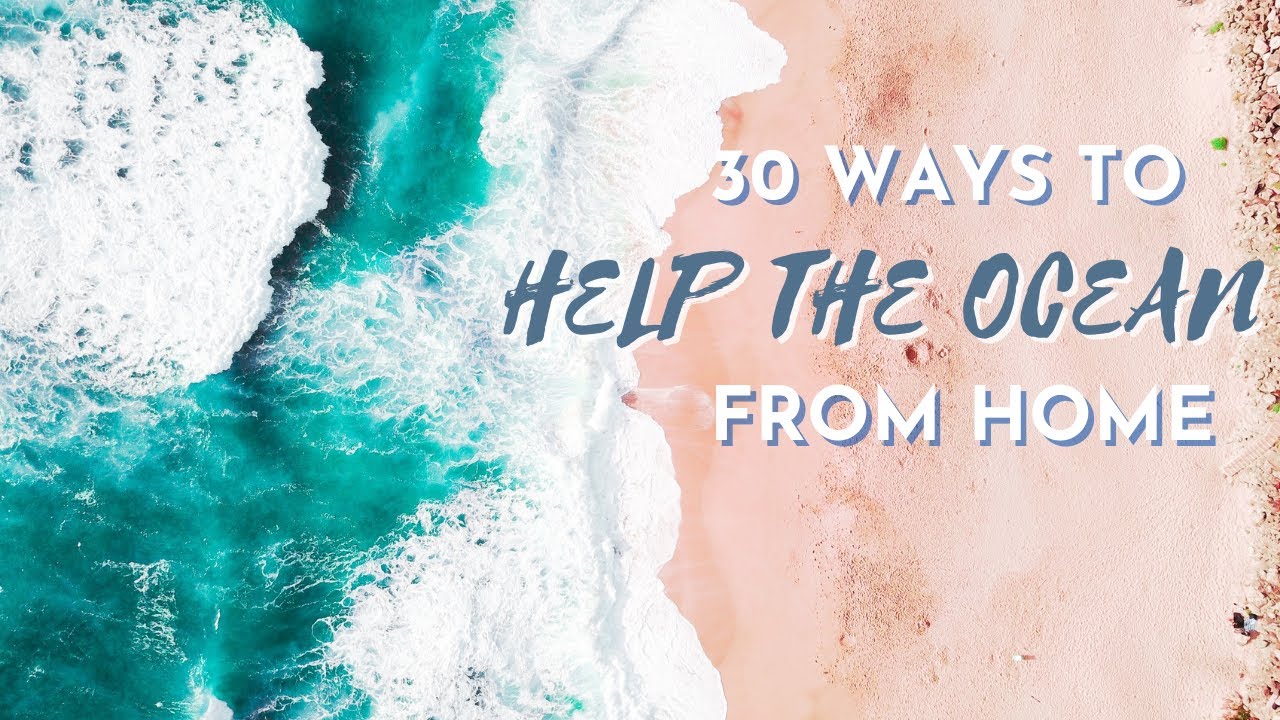 30 ways to help the ocean from your home l Ocean Pancake Podcast - YouTube