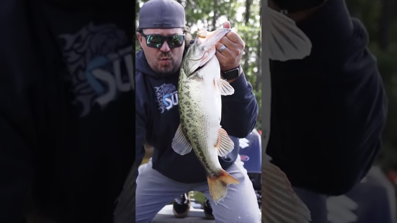 Big belly done ate my jig!! #shorts - YouTube