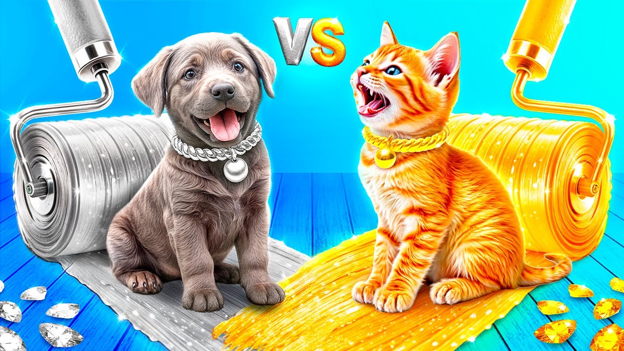 We Build One Color House Challenge! Silver vs Gold Pets - YouTube