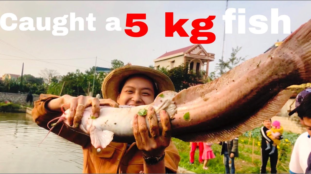 Journey to catch fish weighs 5 kg - YouTube