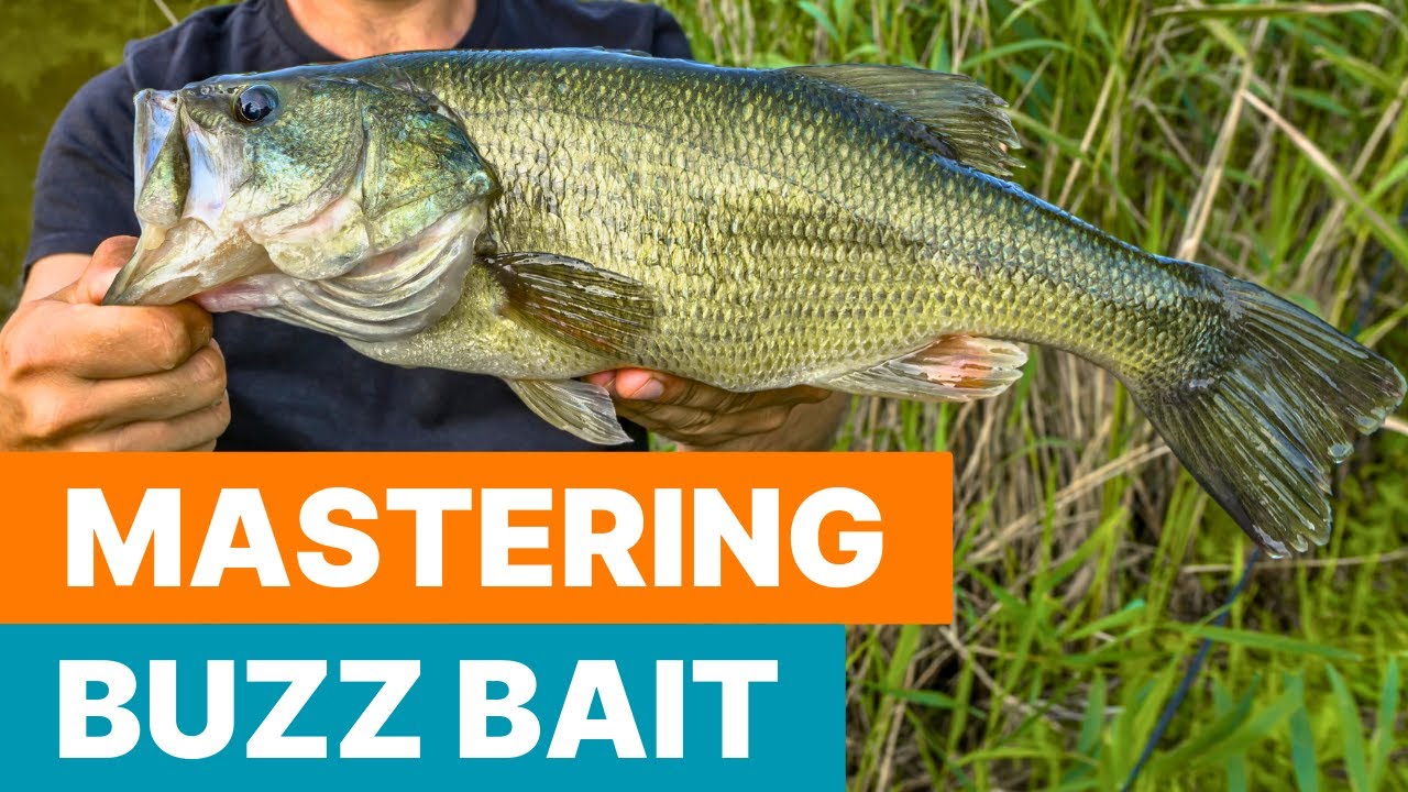 Buzz Up Your Bass Fishing Game: Pro Secrets w/ Buzz Bait - YouTube