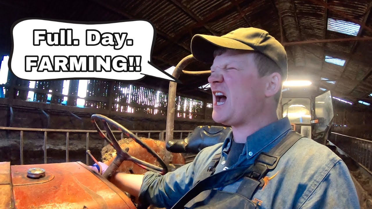 YOUNG FARMERS MORNING ROUTINE... LIFE BEFORE THE SHED ! - YouTube