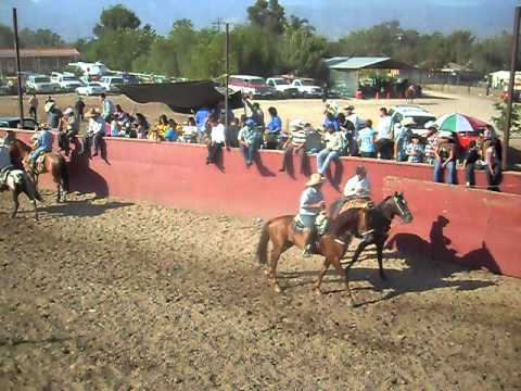 MUSCOY CA.AVI - YouTube