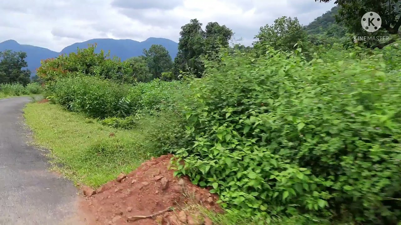 Natural nature in rayagada village location Like 👍and subscribe my ...