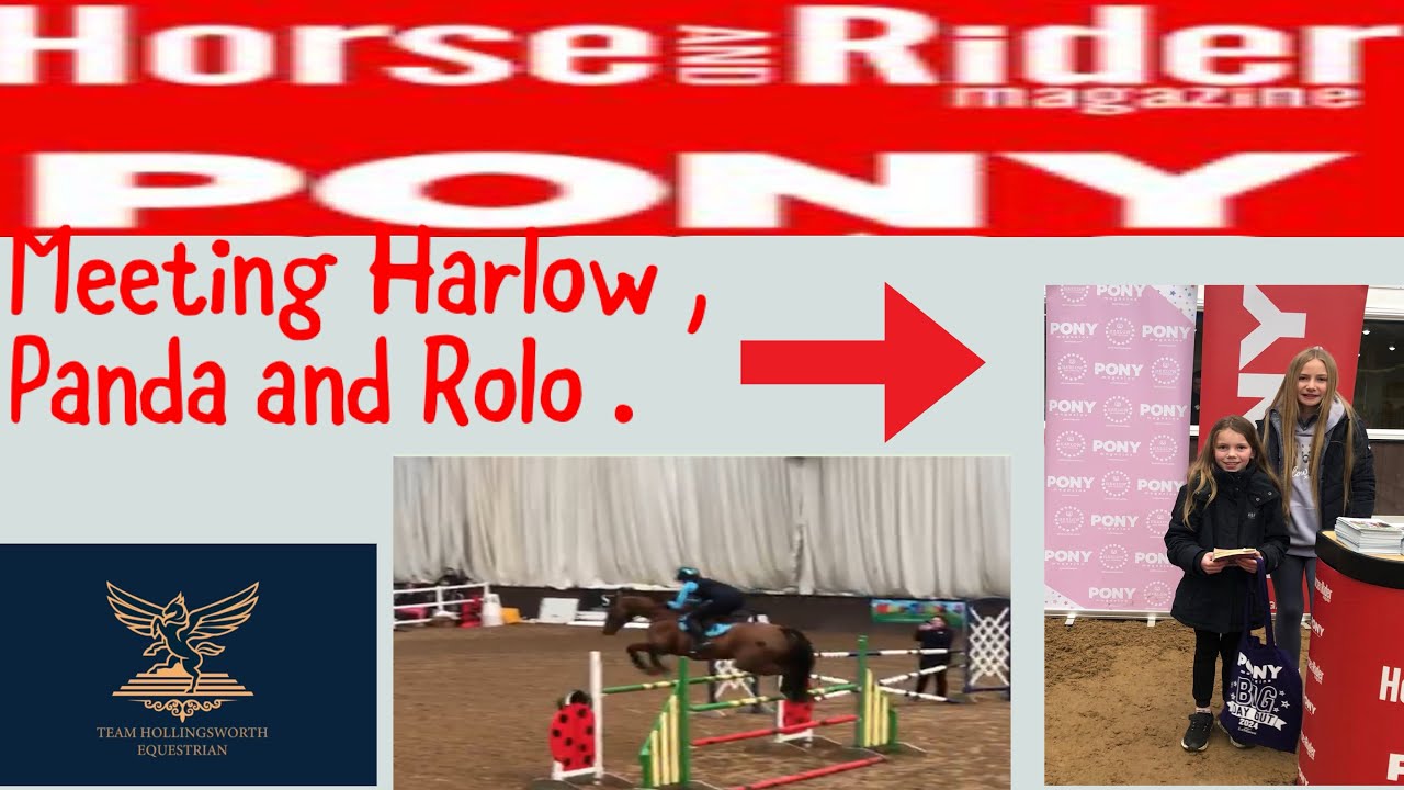 Meeting Harlow , Panda and Rolo . - YouTube