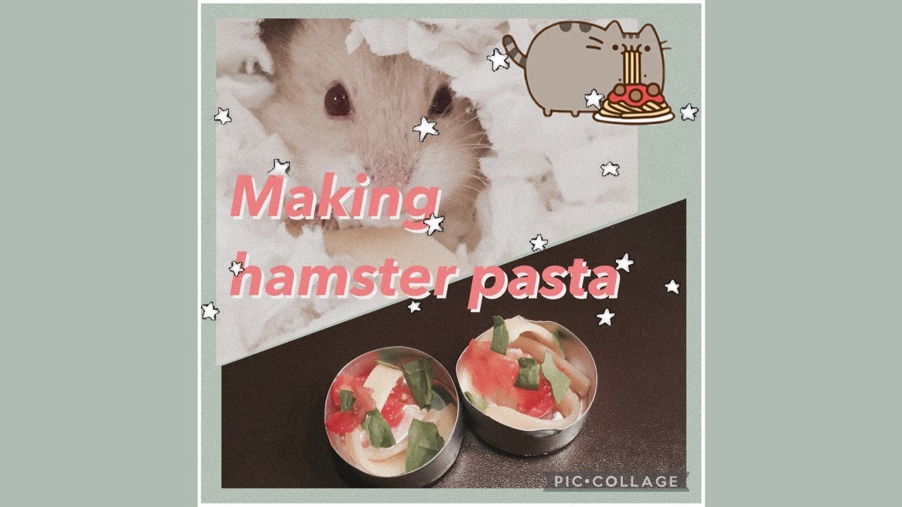 Making pasta for hamsters!! - YouTube