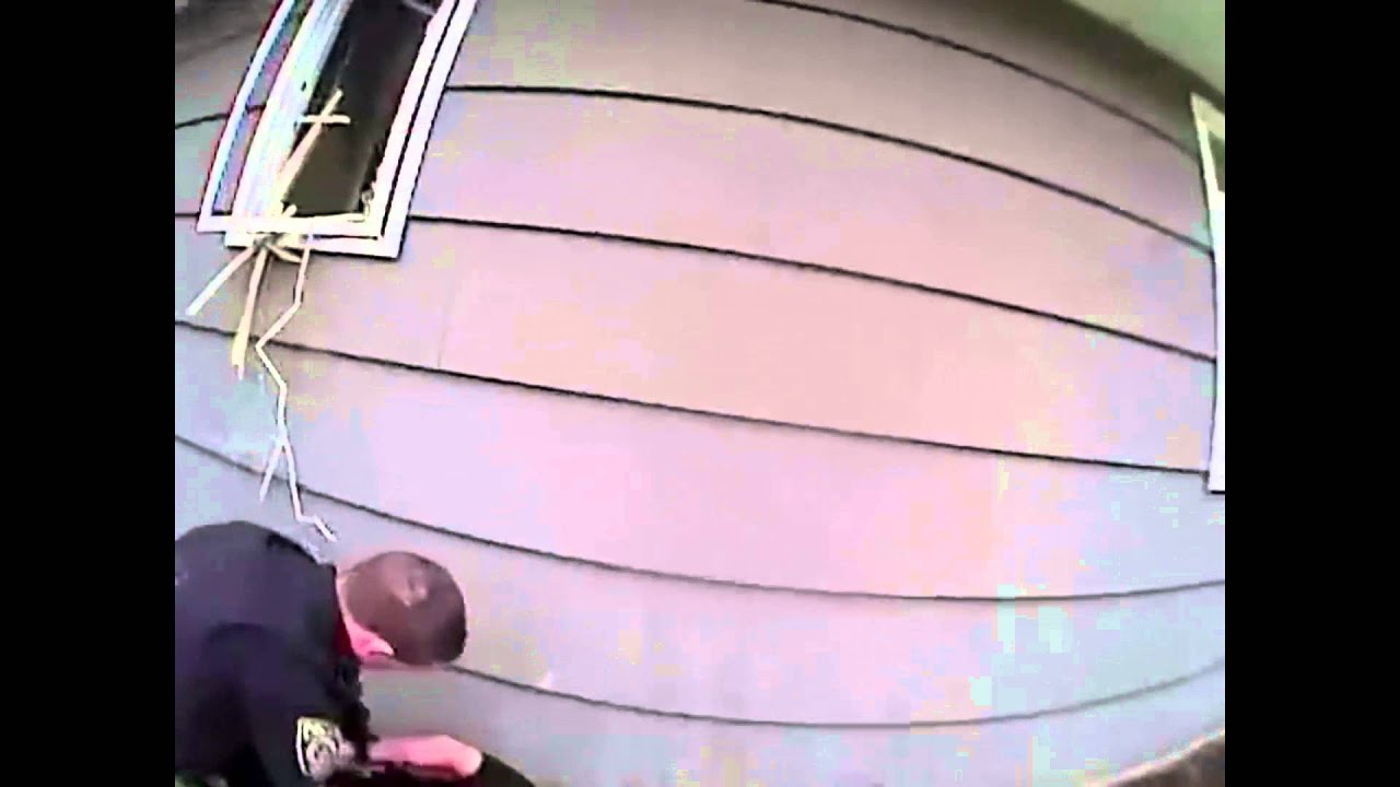 Burglary suspect jumps through window during police chase - YouTube