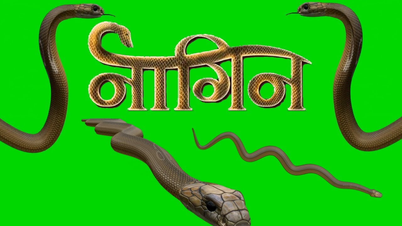 NAAGIN SEASON 1 || GOLDEN COBRA PACK V1 || 1080pHD - YouTube