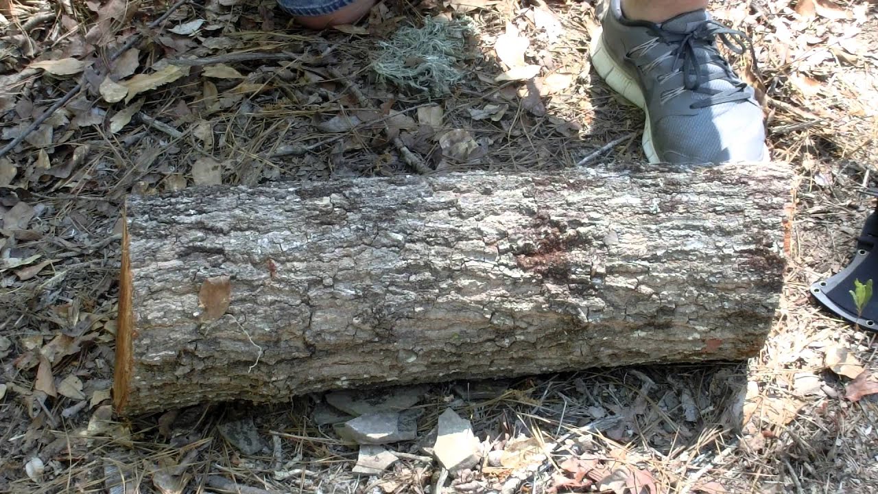 Testing the Schrade SCAXE2 Survival Hatchet - YouTube