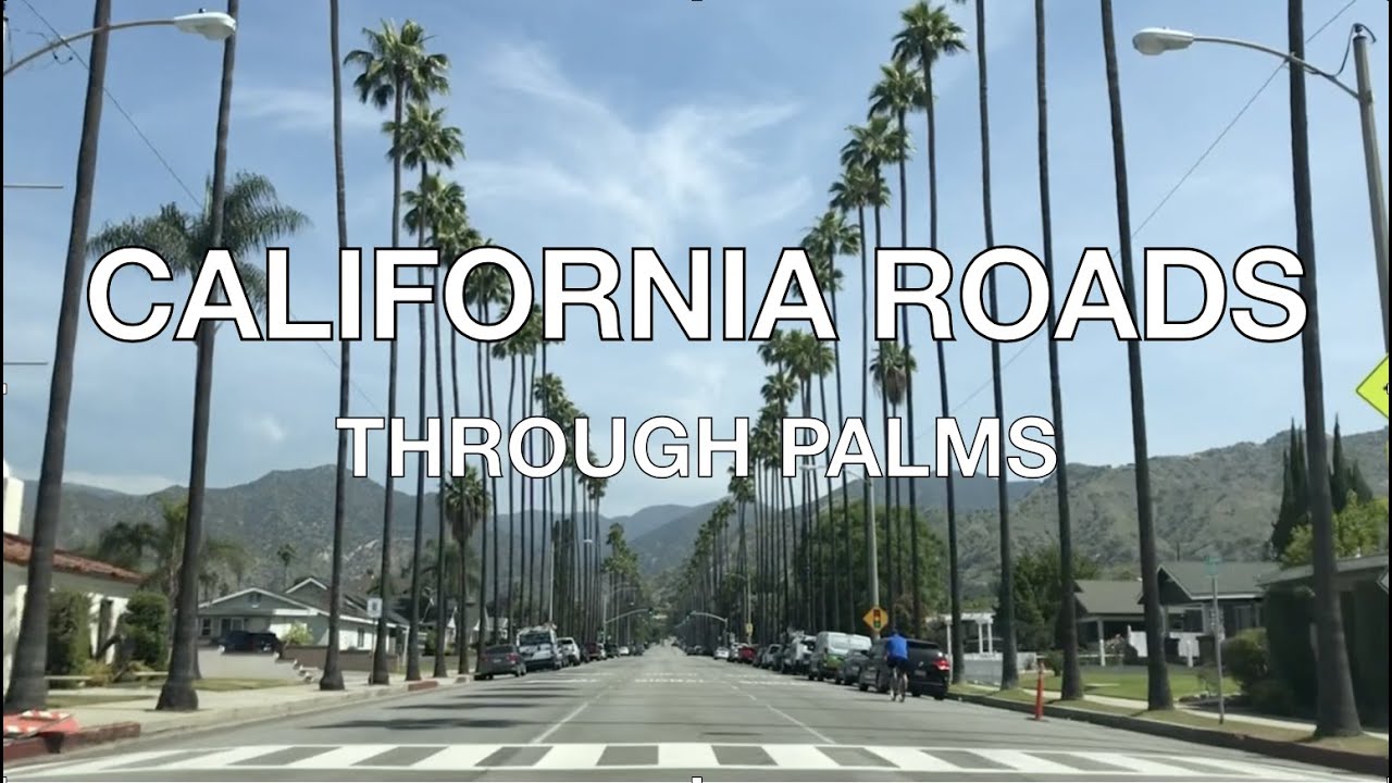 California Scenic Driving | California Roads | Palm Trees | California ...