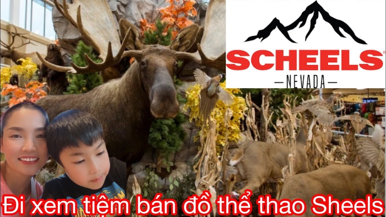Cửa hàng bán đồ thể thao ở Sparks Reno in Nevada | Scheels Outdoor gear ...