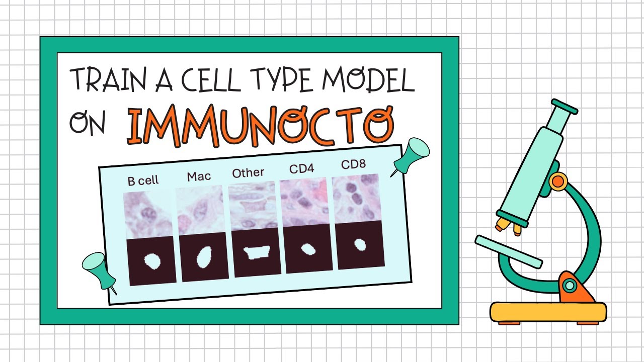 Train a cell type model on Immunocto - YouTube