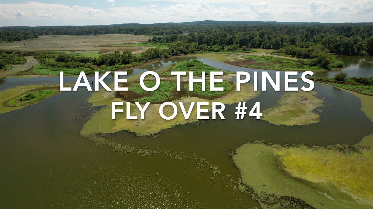 Lake o the Pines # 4 - YouTube