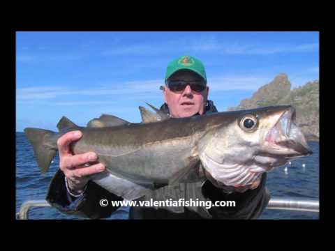 What a beautiful fishing day around the Skelligs - YouTube