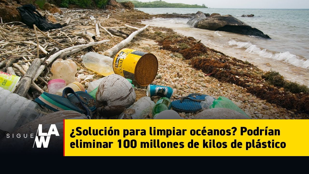 ¿Solución para limpiar océanos? Podrían eliminar 100 millones de kilos ...