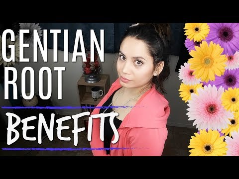 Gentian Root Benefits | 15 Practical Uses (SHRINKS TUMORS!)