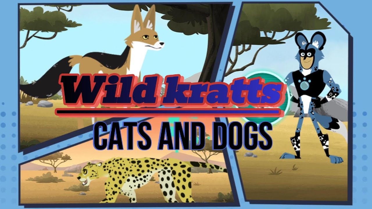 Wild kratts / CATS & DOGS / LET'S HELP THE CAT AND THE DOG? - YouTube